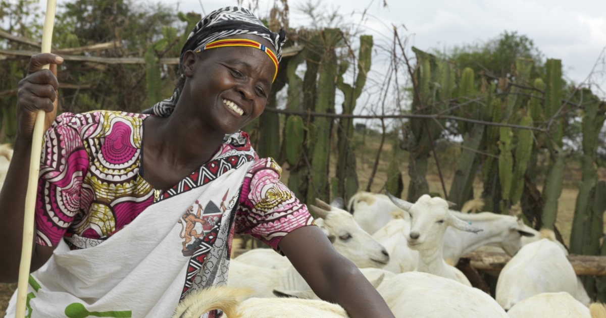 Goats and Big Dreams in Kenya | Action Against Hunger Canada