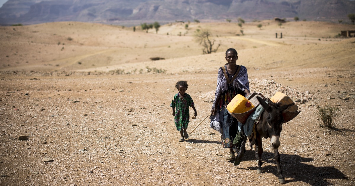 Disasters & Emergencies | Donate to Save Lives | Action Against Hunger ...