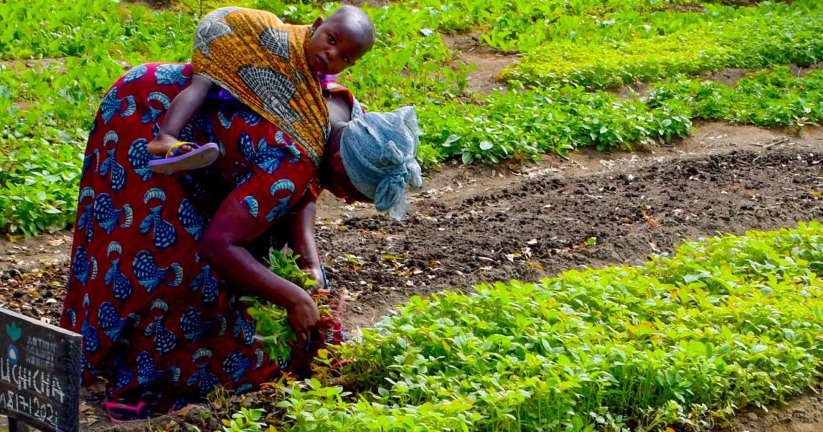 How the ‘Mother of Vegetables’ Turned Her Life Around | Action Against ...