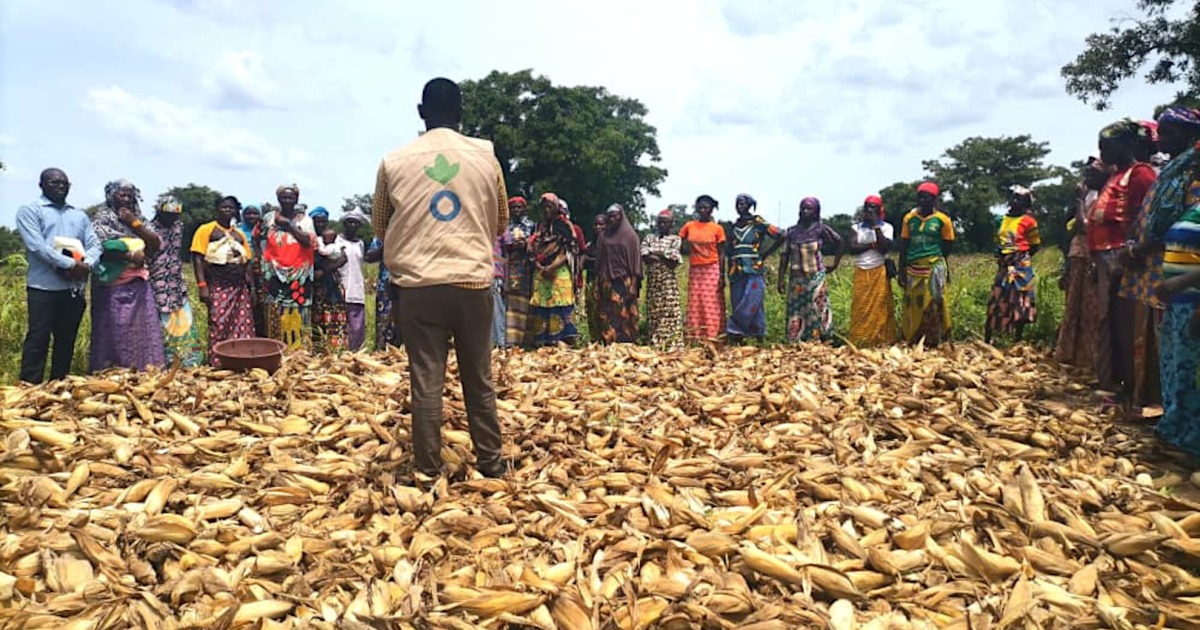 How Farmers are Fighting Malnutrition in Mali | Action Against Hunger ...